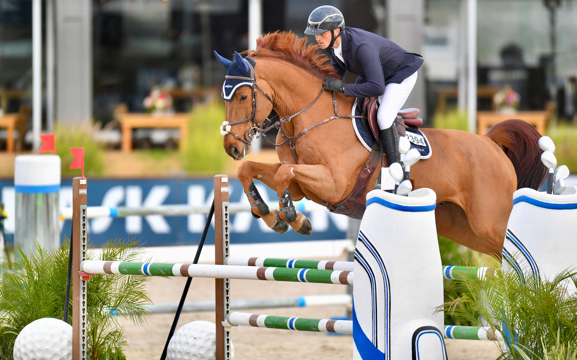 Nacho Libre - Three Vintage Horses